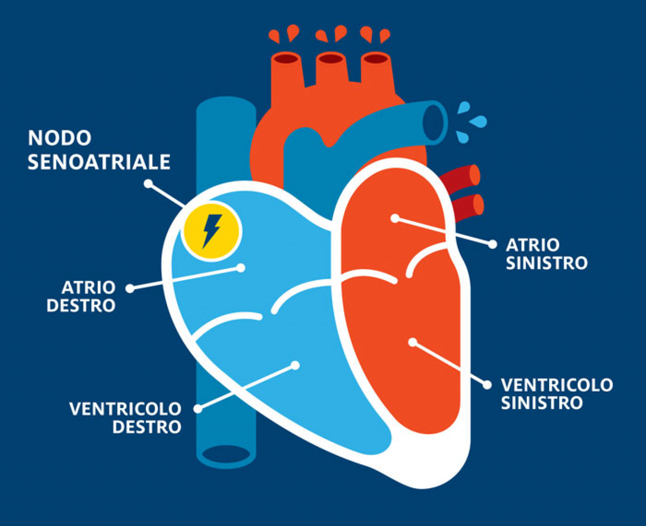 Un dossier sulle aritmie / Academia